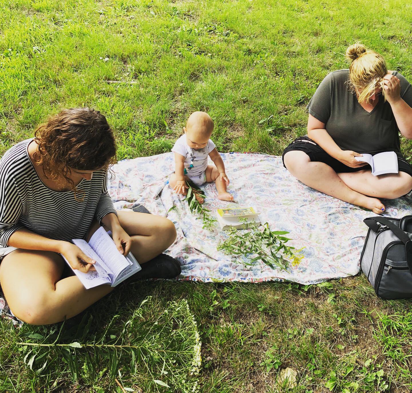 Family Herbalism - Old Ways Herbal: Juliette Abigail Carr