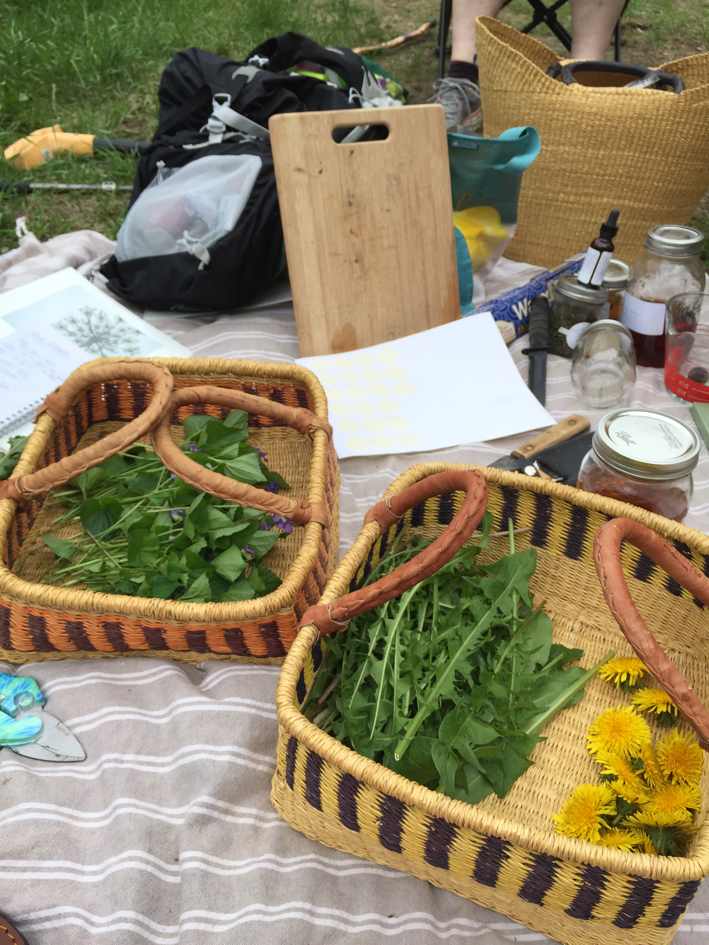 Clinical Skills & Cases - Old Ways Herbal: Juliette Abigail Carr