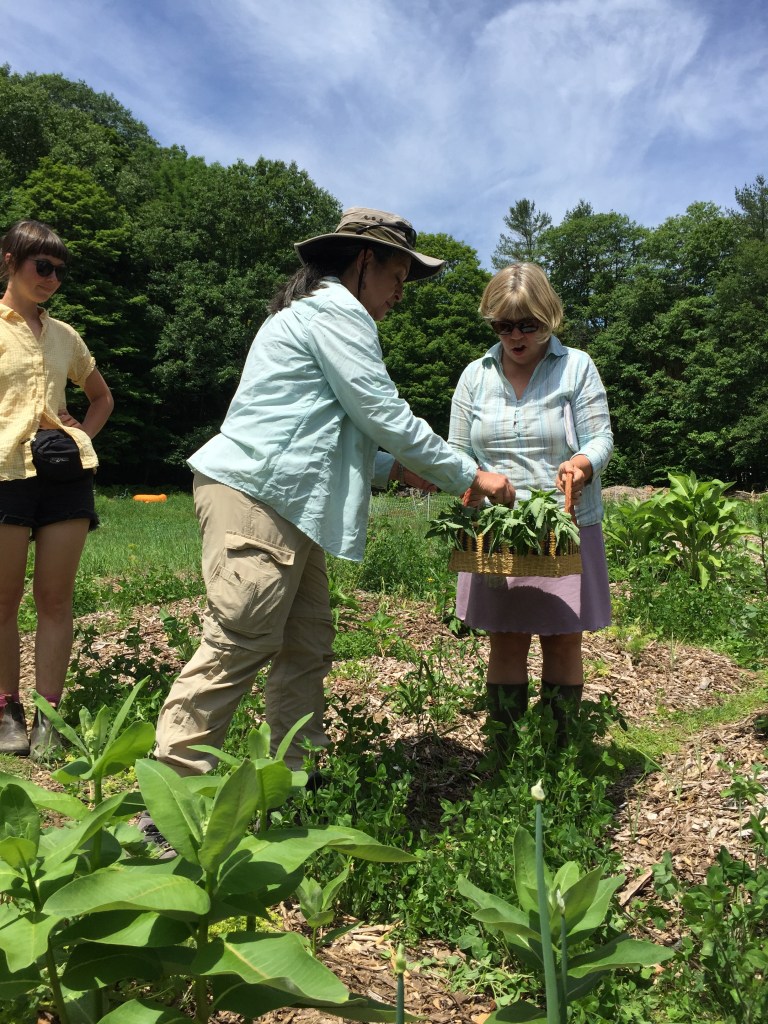 Garden Days 2021 - Old Ways Herbal: Juliette Abigail Carr