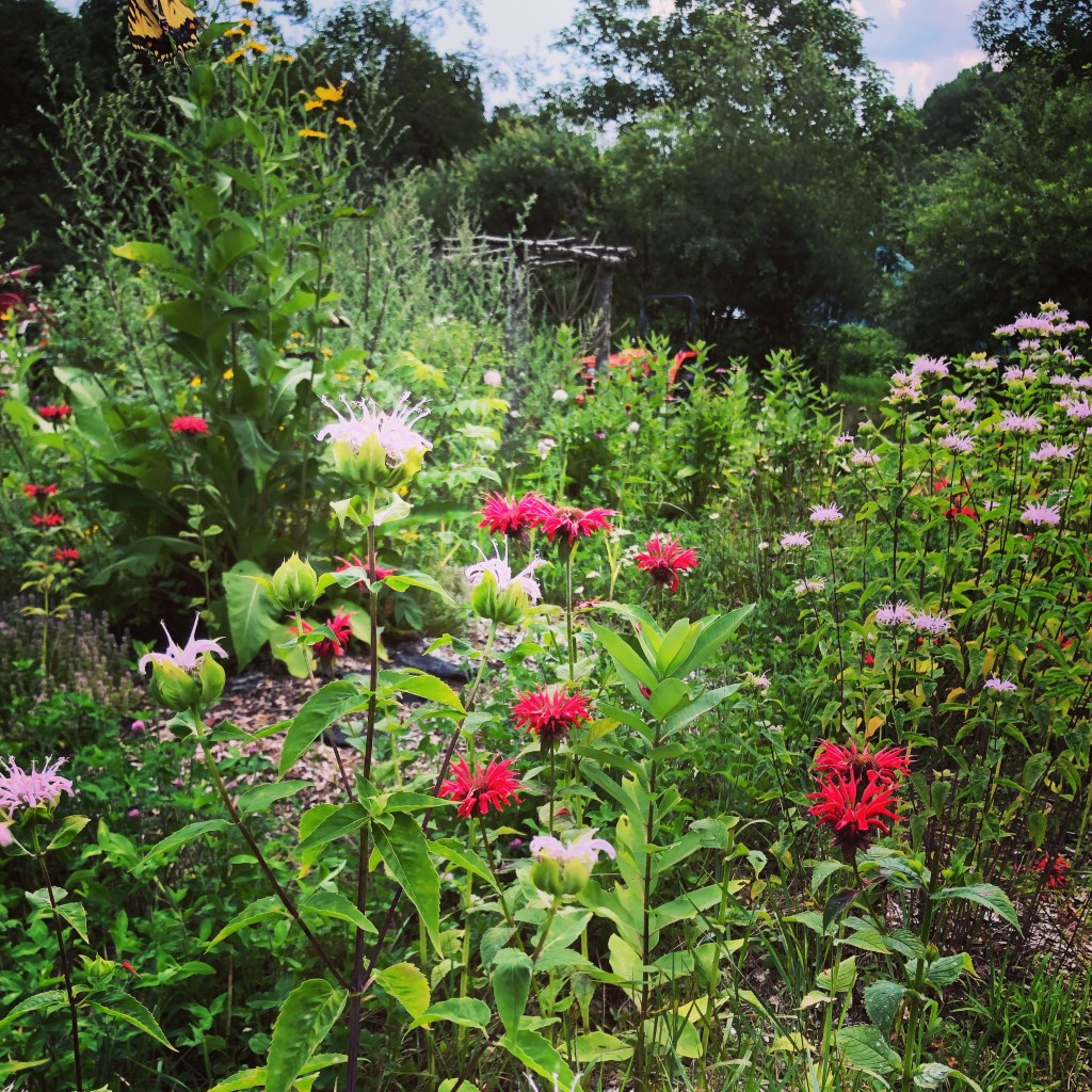 Garden Days Bonus Gathering - Old Ways Herbal: Juliette Abigail Carr